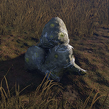 Яйца паука • Rust Wiki